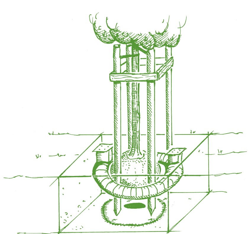 Wie pflanze ich einen (Klima)-Baum - Gartenpflanzen Daepp
