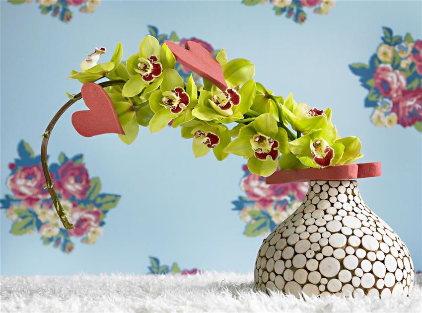 Die Top 8 der Winterblumen - Gartenpflanzen Daepp