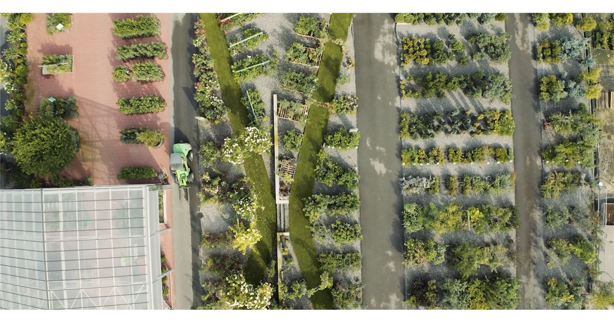 Daepp wird 150 jährig!